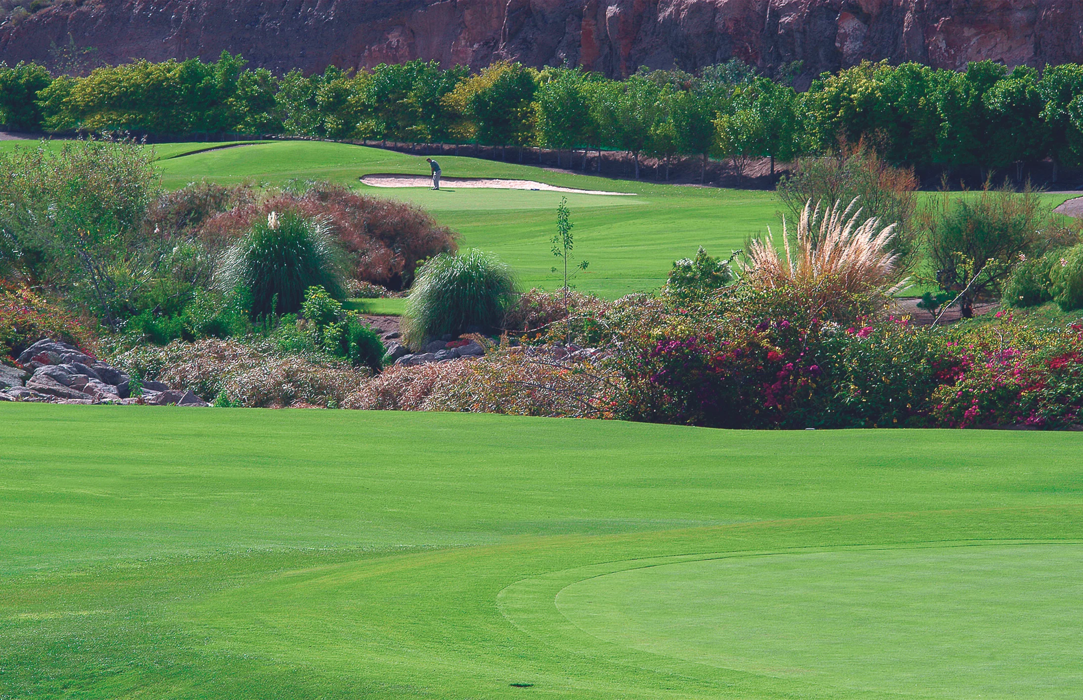 Par 3 course